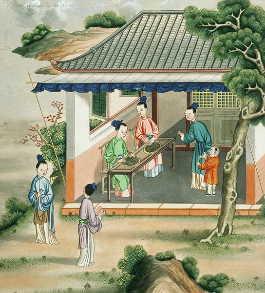 Teaism: The Wisdom of Ancient Tea-Masters – Kalampedia